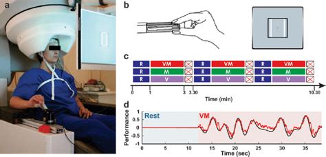 Experimental Setup And Design A Participant During Performing The VM Download Scientific