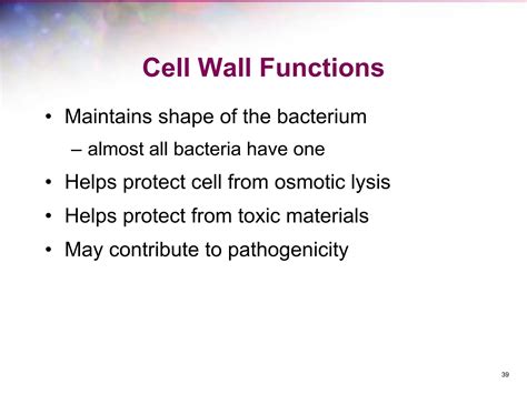 Bacteria Cell Structure Nd Complete Explanation Of PPT