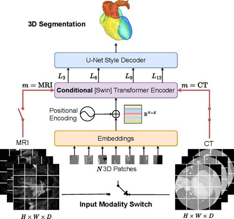 Figure 1 From A Simple And Robust Framework For Cross Modality Medical