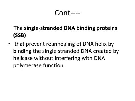 9 Dna Replication Pdf