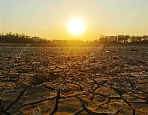 마른 땅 일몰 숲 햇빛 해 태양 빛 배경 일러스트 및 사진 무료 다운로드 Pngtree