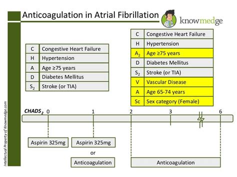 Internal Medicine Board Review Anticoagulation In Atrial Fibrillatio