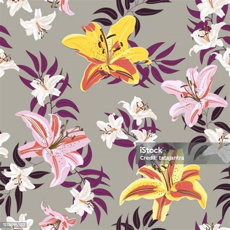 회색 배경에 백합 꽃 원활한 패턴 화이트 핑크와 옐로우 백합 꽃 벡터 일러스트 0명에 대한 스톡 벡터 아트 및 기타 이미지 0명 개화기 그래픽 프린트 Istock