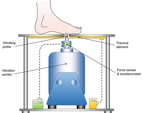 Examination Of The Plantar Cutaneous Vibration Perception Threshold