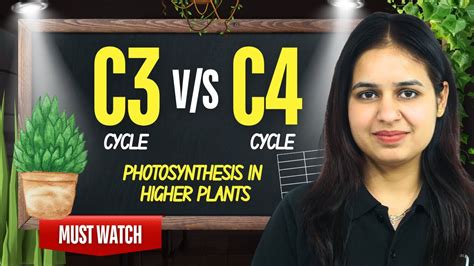 C3 Vs C4 Cycle Photosynthesis In Higher Plants Comparison Chart Neet Biology Neet 2026