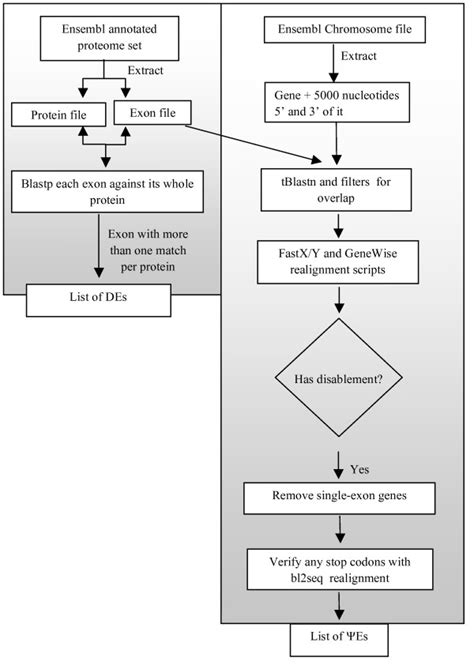Pipeline Annotation Of Des And Ψes The Pipeline Annotation Is