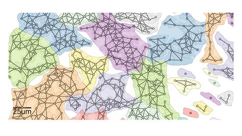 About Muspan Muspan A Multiscale Spatial Analysis Toolbox