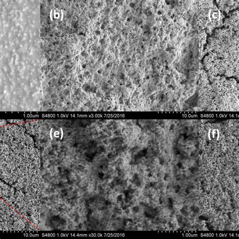 SEM Images Of PDMS SiO2 SS Hybrid Coating With Different Mass Ratios Of Download Scientific