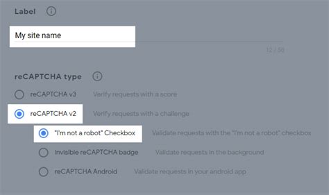 Recaptcha Spam Prevention Unicity