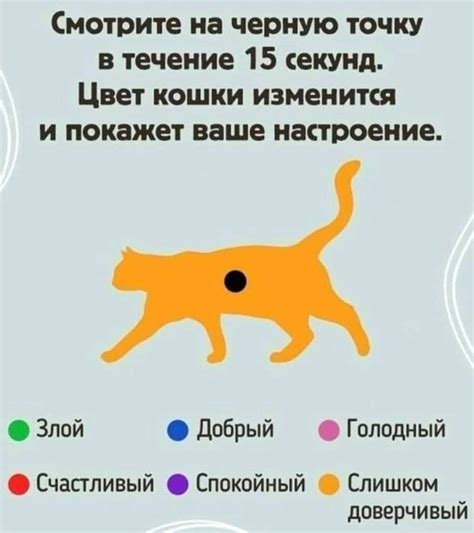 Простой тест Пикабу