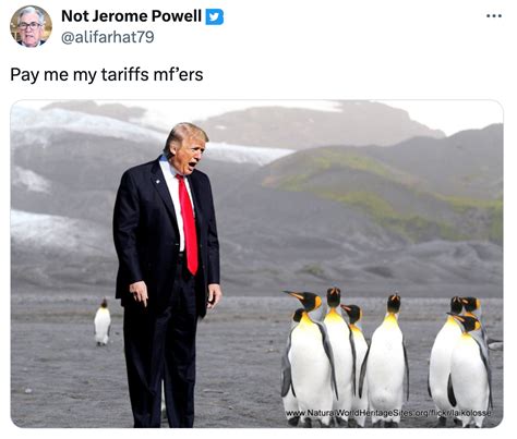 Trump Tariffs Inspire Viral Penguin Memes 24 Of The Best