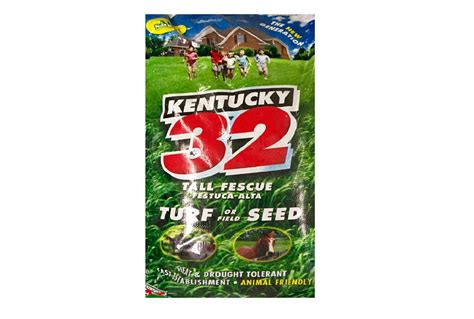 Ky 32 Tall Lawn Fescue Lawn Grass Seed Seed Pellet Stoves Wood Stoves Lawn Mowers