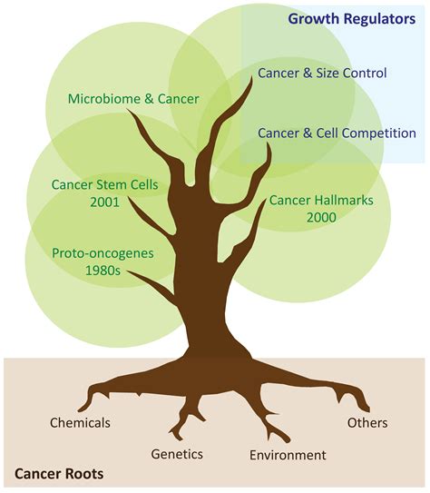 Stemming Tumoral Growth A Matter Of Grotesque Organogenesis