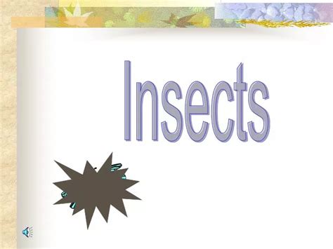 PPT Insects PowerPoint Presentation Free Download ID 4419152