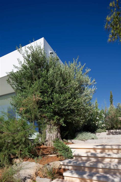 Coco Loco Ecodisseny