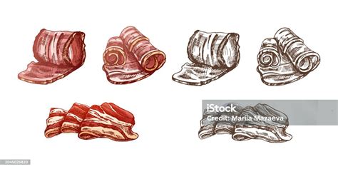 손으로 그린 컬러 흑백 벡터 스케치 베이컨 Hamon 또는 돼지 고기 햄 조각의 세트 이탈리안 프로슈토 빈티지 스케치 푸줏간 라벨 레스토랑 메뉴에 적합합니다 새겨진 이미지