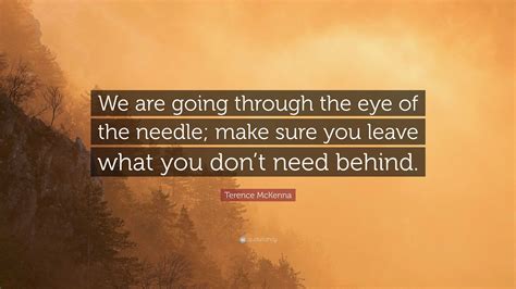 Terence Mckenna Quote We Are Going Through The Eye Of The Needle