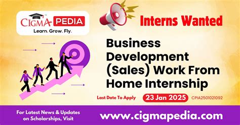 Business Development Sales Work From Home Internship By Scoopearth How To Apply For