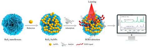Res2 Nanoflowers Assisted Confined Growth Of Gold Nanoparticles For Ultrasensitive And Reliable
