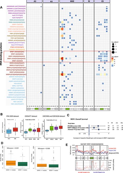 As Is Controlled By Splicing Factors Sfs A Sf Motifs Significantly Download Scientific