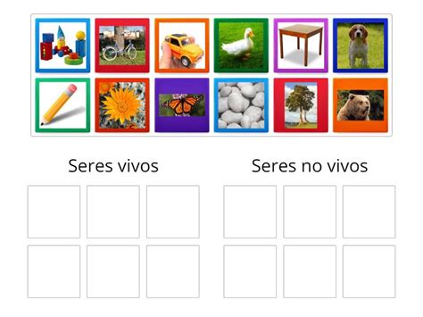 Seres Vivos Y No Vivos Pengurutan Grup