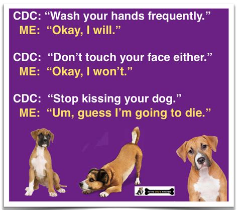 1979 Caledonia Ny Jane Doe Identified As Tammy Jo Alexander Here Is