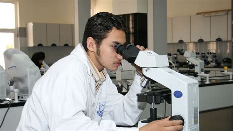 Programs Offered College Of Pharmacy