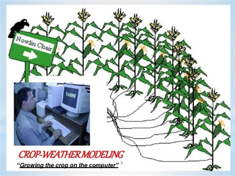 Crop Modeling Types Of Crop Growth Models In Agriculture