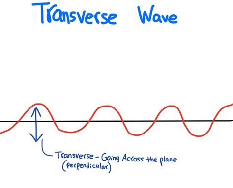 Transverse Waves Go Across The Plane And Are Perpendicular Physics