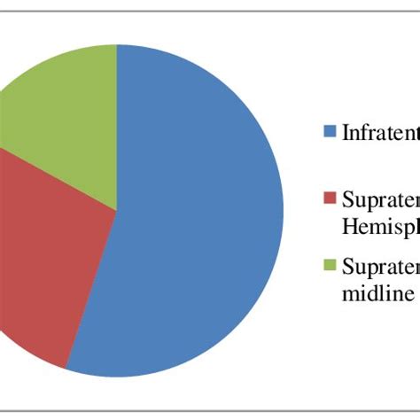 Location And Types Of Tumor In Brain Download Scientific Diagram