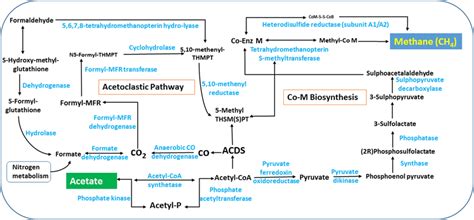 Metagenomic Genes Mapped To Methane Metabolism Pathway Download Scientific Diagram