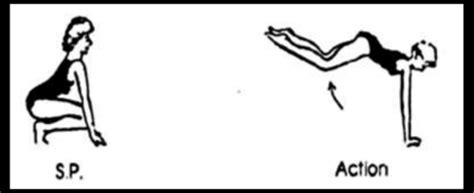 PE Basic Positions And Stuts Flashcards Quizlet