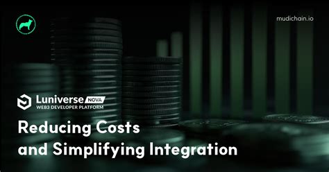 Reducing Costs And Simplifying Integration Mudichain Medium