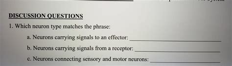 Solved DISCUSSION QUESTIONS 1 Which Neuron Type Matches The Chegg Com