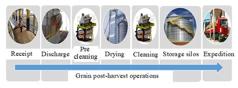 General Flowchart Of Seed Pre Processing And Storage Operations Download Scientific Diagram