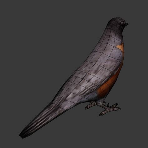 3d Robin Model