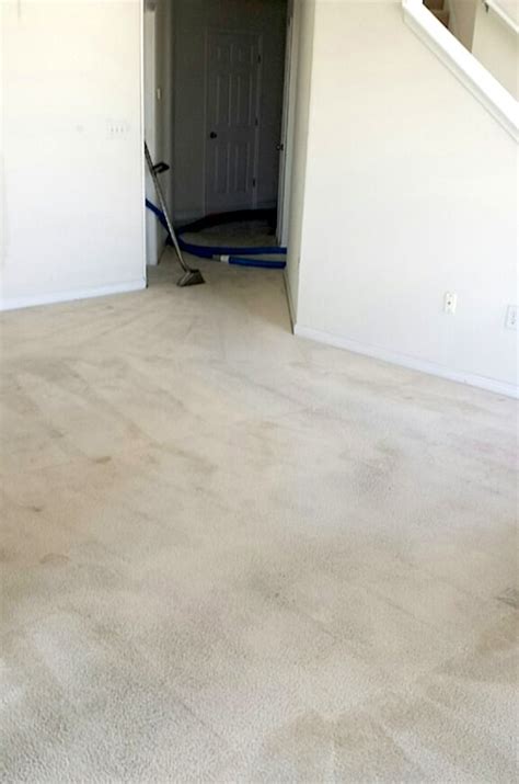 Carpet Water Damage Montgomeryville Gentle Clean Carpet Care