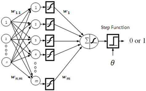 an architecture of ann for binary classification download scientific