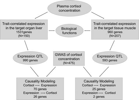 Outline Of The Systems Biology Approach To Dissecting Effects Of Download Scientific Diagram