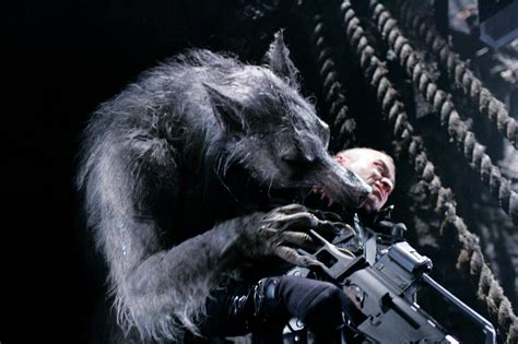 Are Lycans And Werewolves The Same