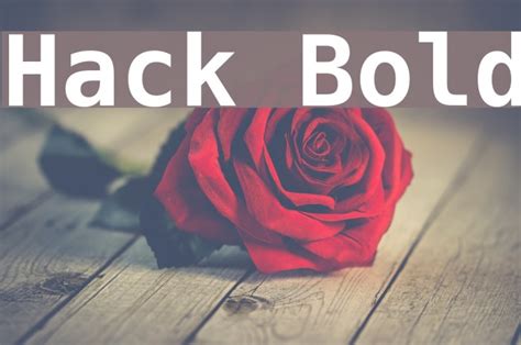 Hack Bold Font FFonts Net