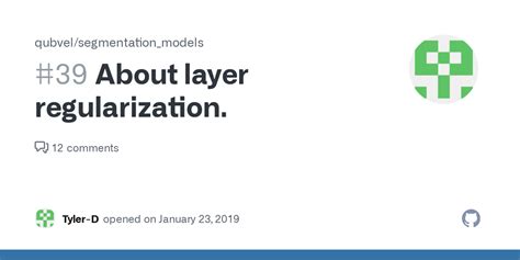 About Layer Regularization Issue 39 Qubvel Segmentation Models