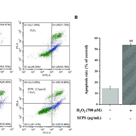 Influence Of Sfps On H 2 O 2 Induced Lo2 Cell Apoptosis A Lo2 Cells Download Scientific