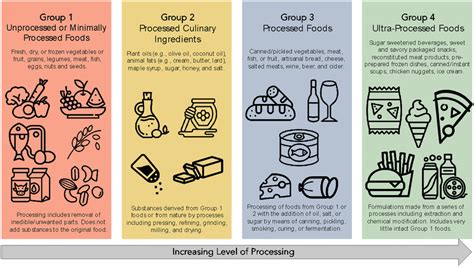 Download Scientific Diagram Spectrum Of Processing Of Foods Based On