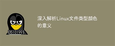 深入解析Linux文件类型颜色的意义 美云
