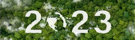 How Does Polycaprolactone Complete Biodegradation Unilong Group