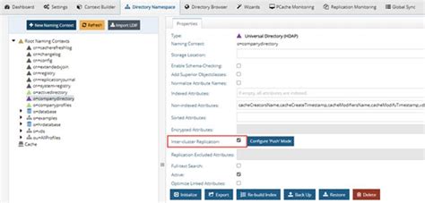 Namespace Configuration Guide Radiant Logic Documentation