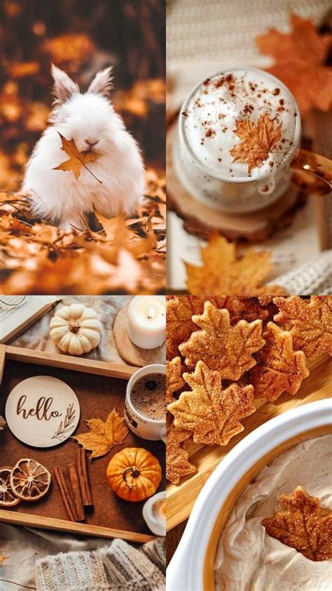 Милая тёплая осень Autumn Оформление целей Осенние украшения