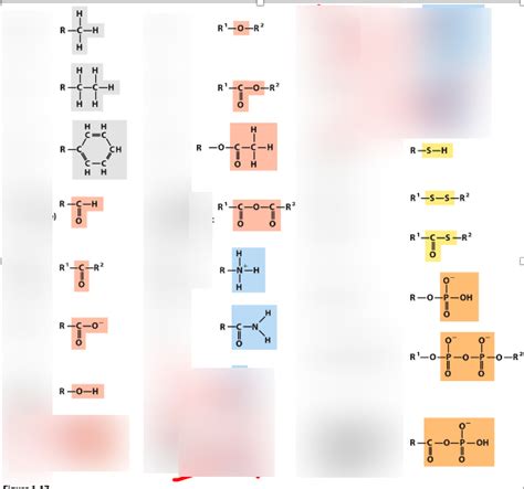 Functional Groups Diagram Quizlet