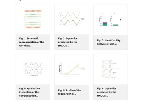 Robust Parameter Estimation And Identifiability Analysis With Hybrid